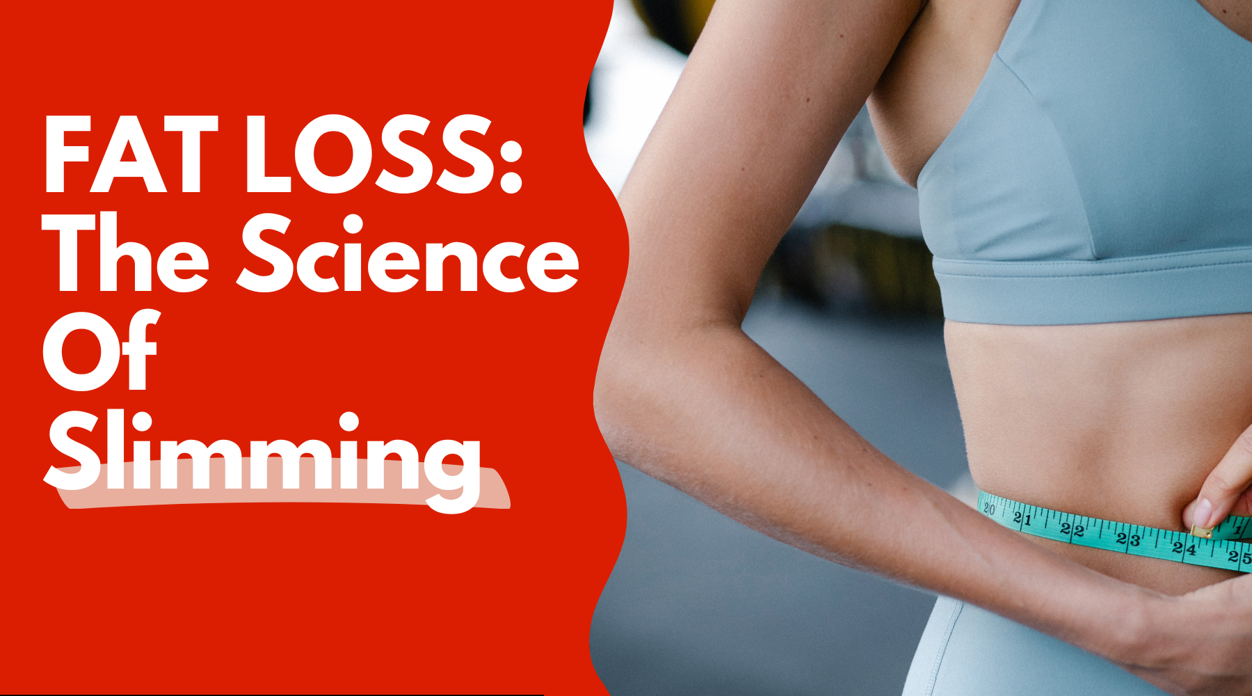 The Science Behind Weight Loss Supplements | PRO ELITE